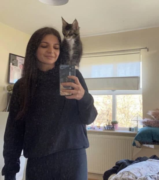 La gattina nata con gli occhi strabici è stata adottata ...